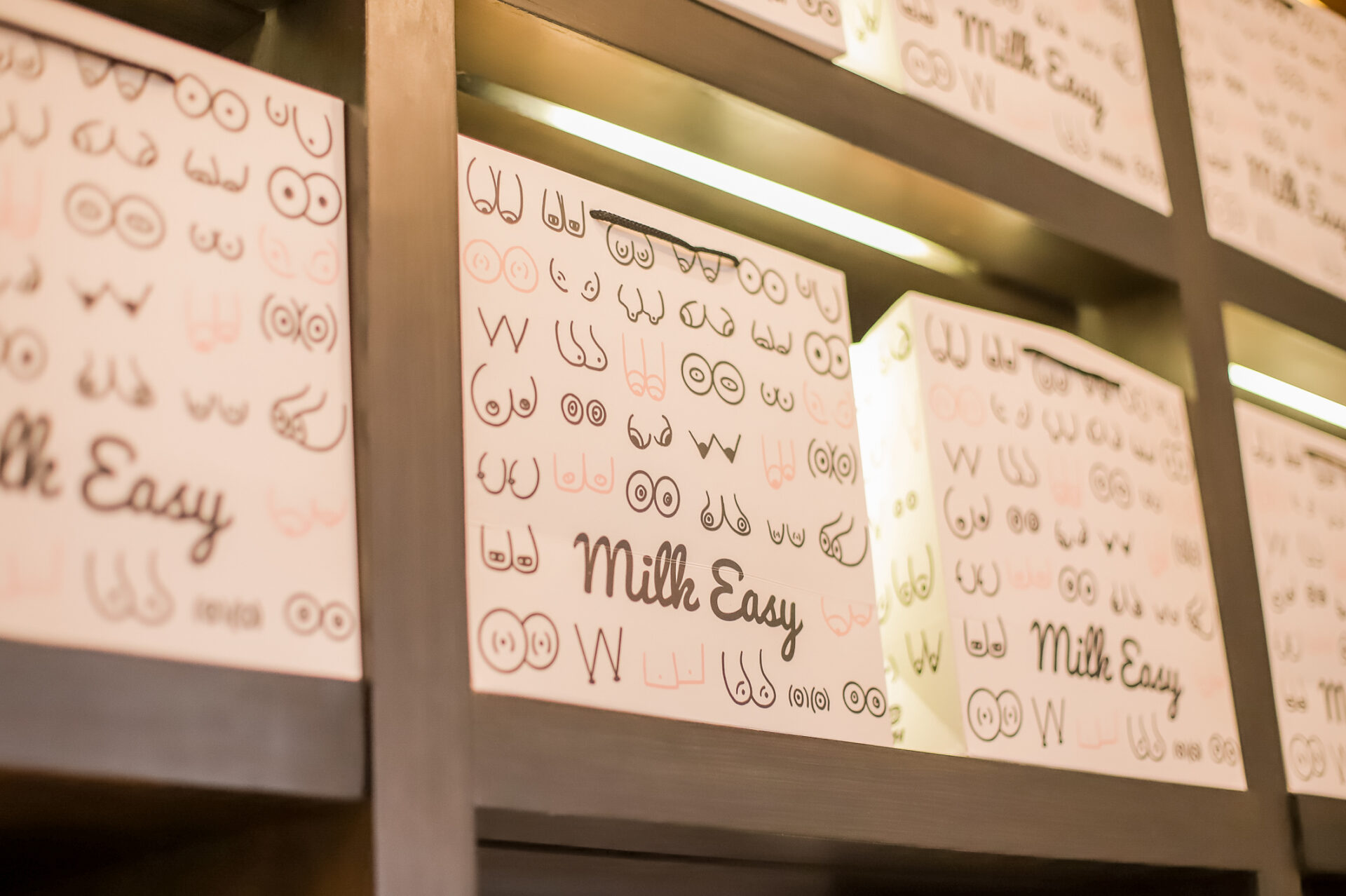 Milkeasy a must have for every Breastfeeding Mother | SteftheMomma.com